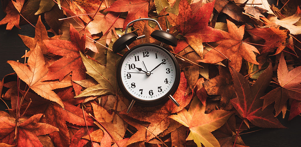 Time change: From summer time to winter time